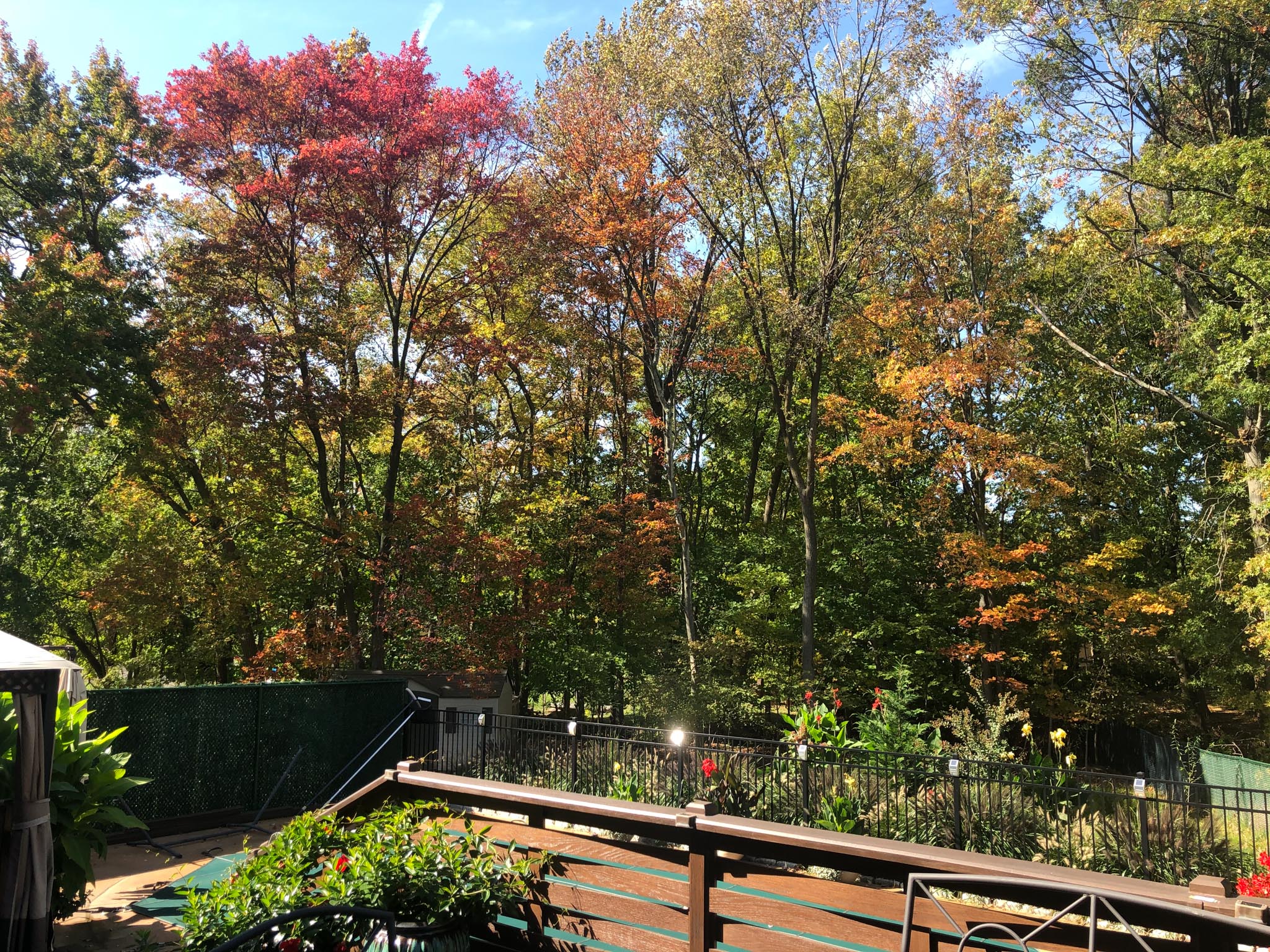 Cool Ideas For Perfect Fall Activities in New Jersey 2022 » Perfect Day ...