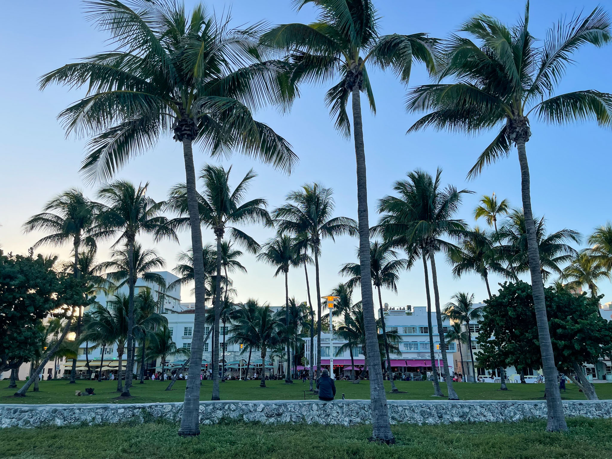 2 Days in Miami: A Unique Itinerary for a Quick Getaway » Perfect Day ...